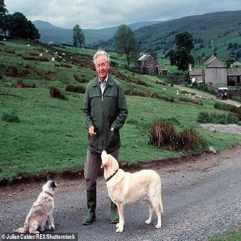 James Herriot: The Simple Life of the World’s Most Famous Veterinarian ...